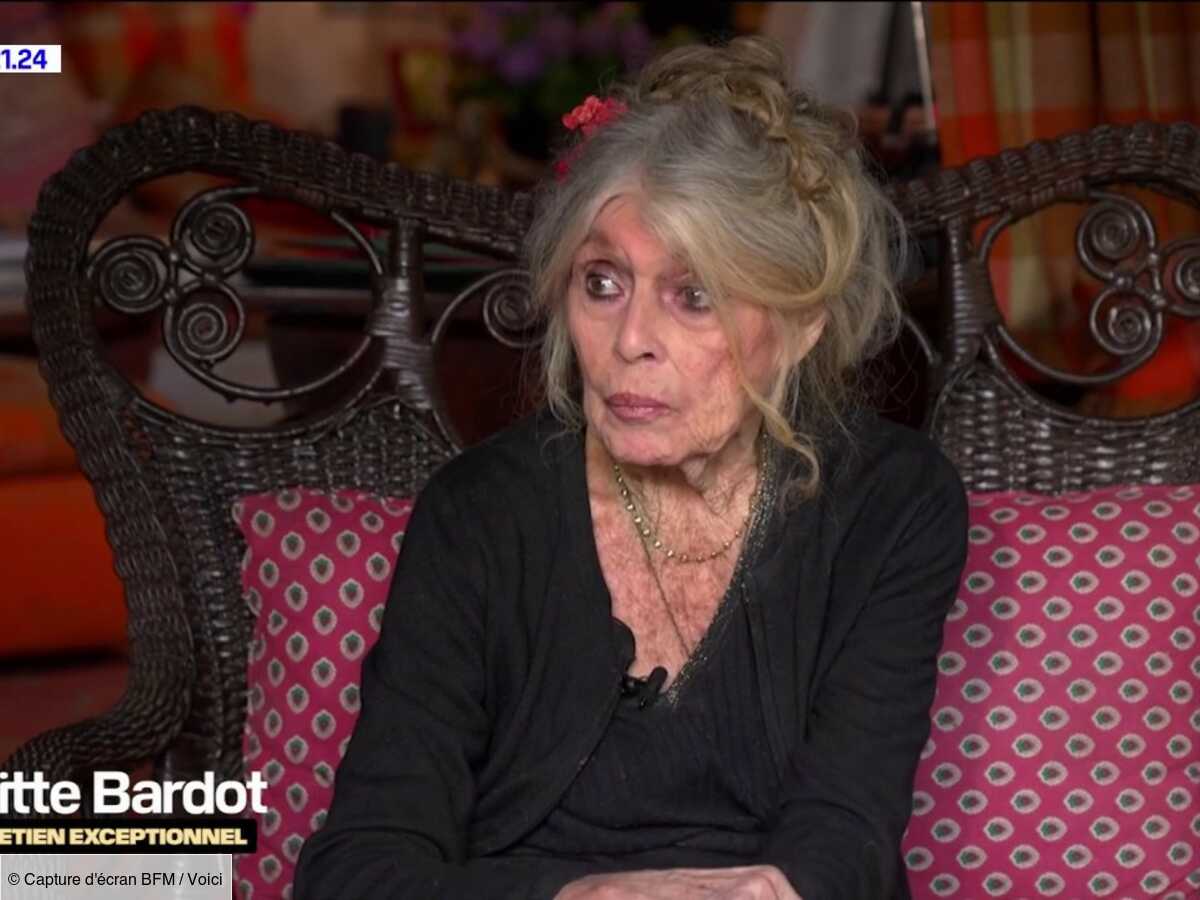 Ce grand ami de Brigitte Bardot et demi-finaliste de La France a un incroyable talent est décédé ...