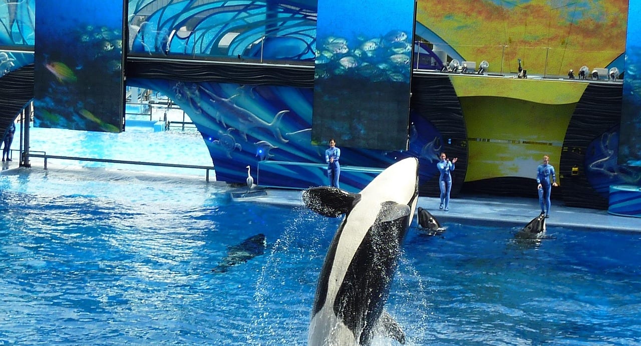 Is Jessica Radcliffe Still Alive? Here are the Real-Life Incidents Said ...