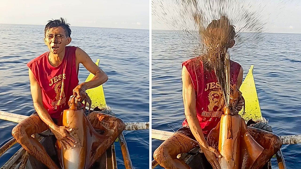 Jumbo squid gets liquid revenge on proud fisherman