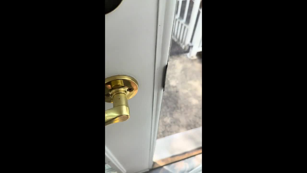 Raccoon caught stealing food delivered to home in Canada