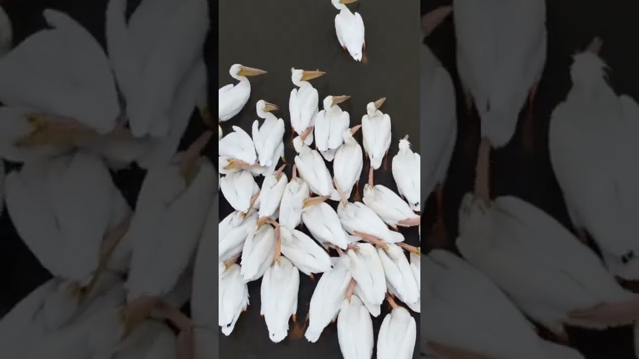 Find these spots and you’ll always catch fish