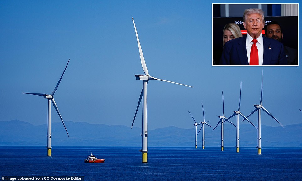 Trump's war on Net Zero forces wind giant Orsted to raise extra cash