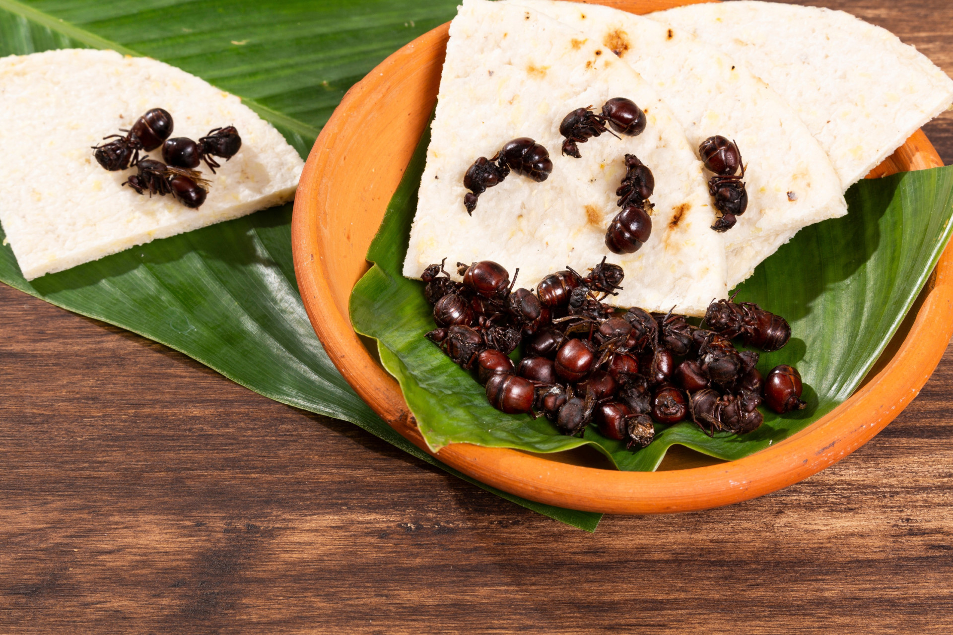 Acquired tastes: the weirdest foods in the world