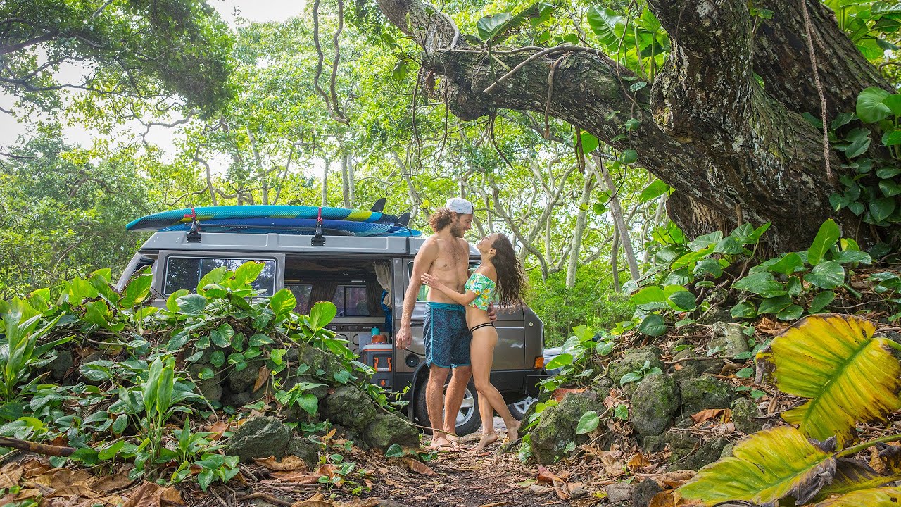 OFF-GRiD PARADiSE 🐬Swimming with WILD DOLPHINS | Van Life MAUI