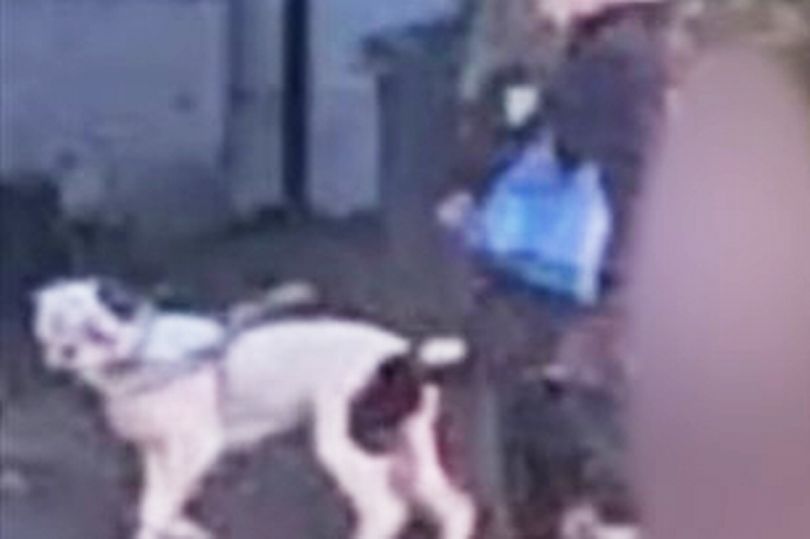 Police reveal dog walker update in urgent search for missing Birmingham ...