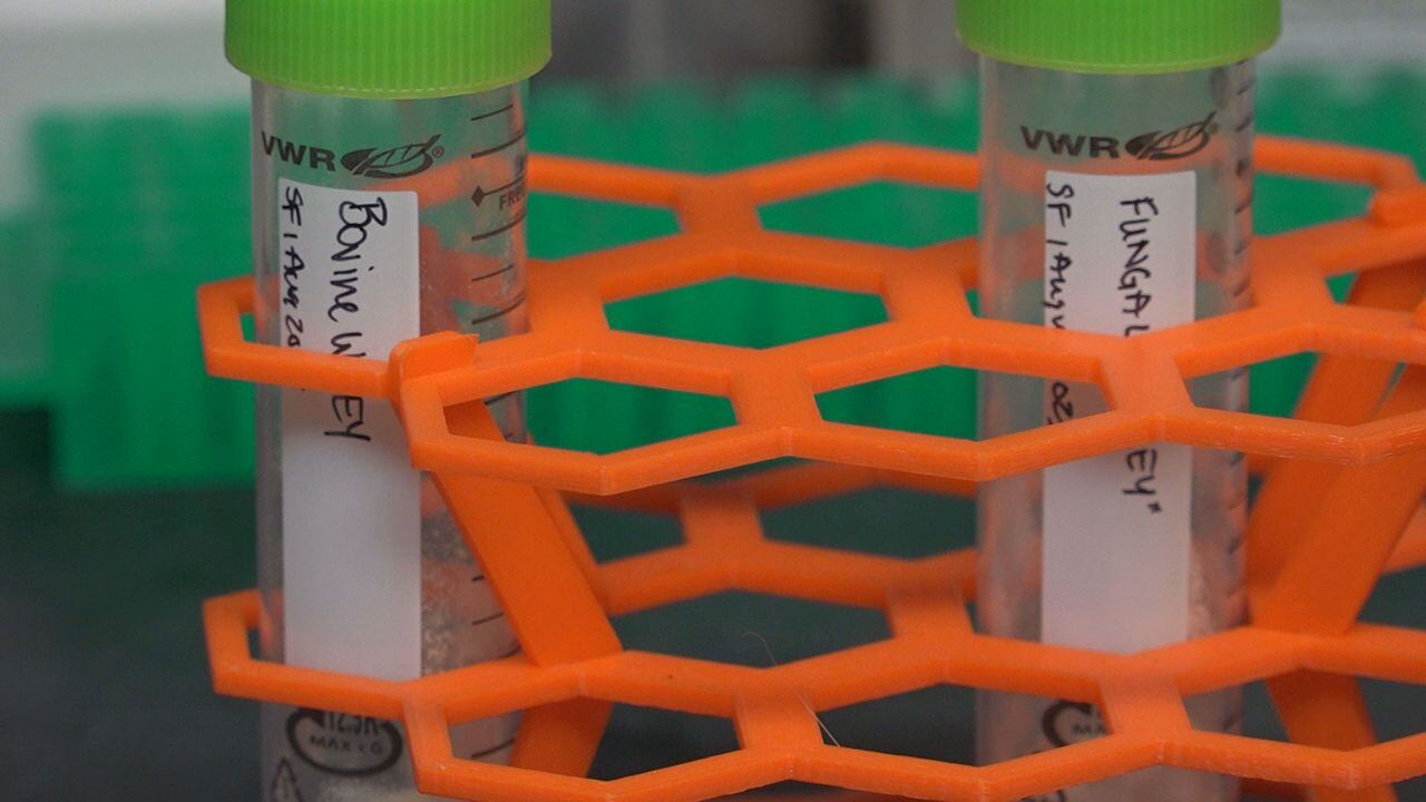 Are lab-grown dairy proteins truly identical to natural dairy? New ...