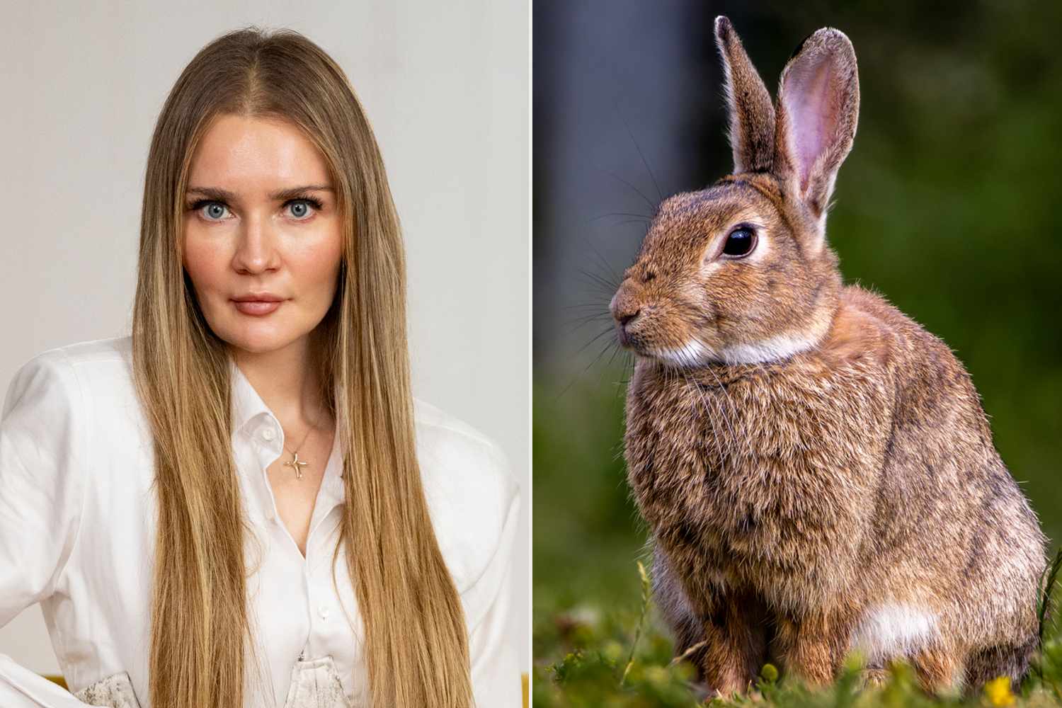 Anna Delvey Responds to Backlash After Rabbits She Used in Photo Shoot ...