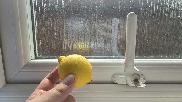 Households told to shut windows overnight and rub lemons on windowsill