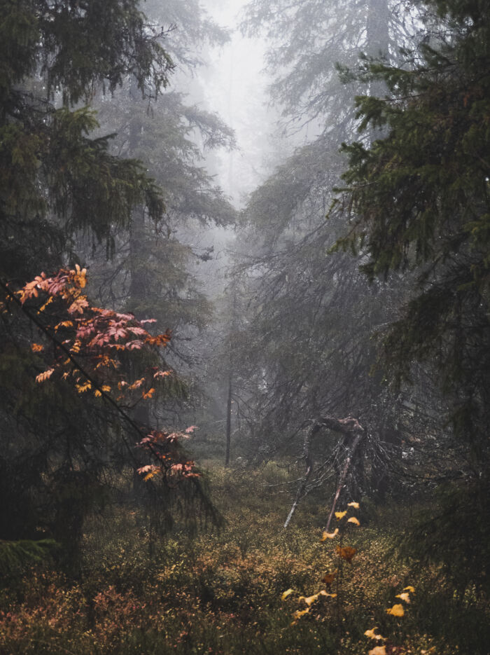 Here Are 34 Eerily Beautiful Liminal Spaces I Captured (34 Pics)