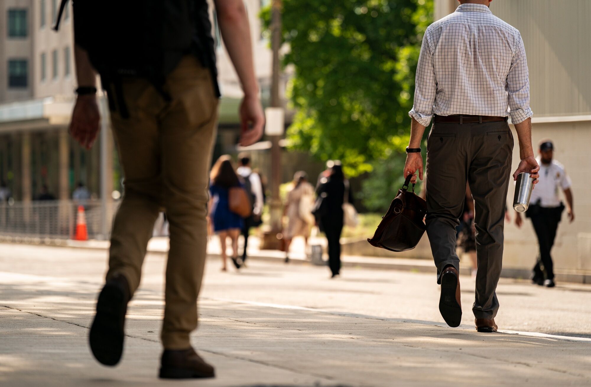 Trump’s BLS Pick Suggested Suspending Monthly Jobs Report