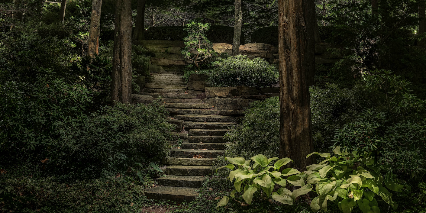 The Secret World of Gardens After Dark