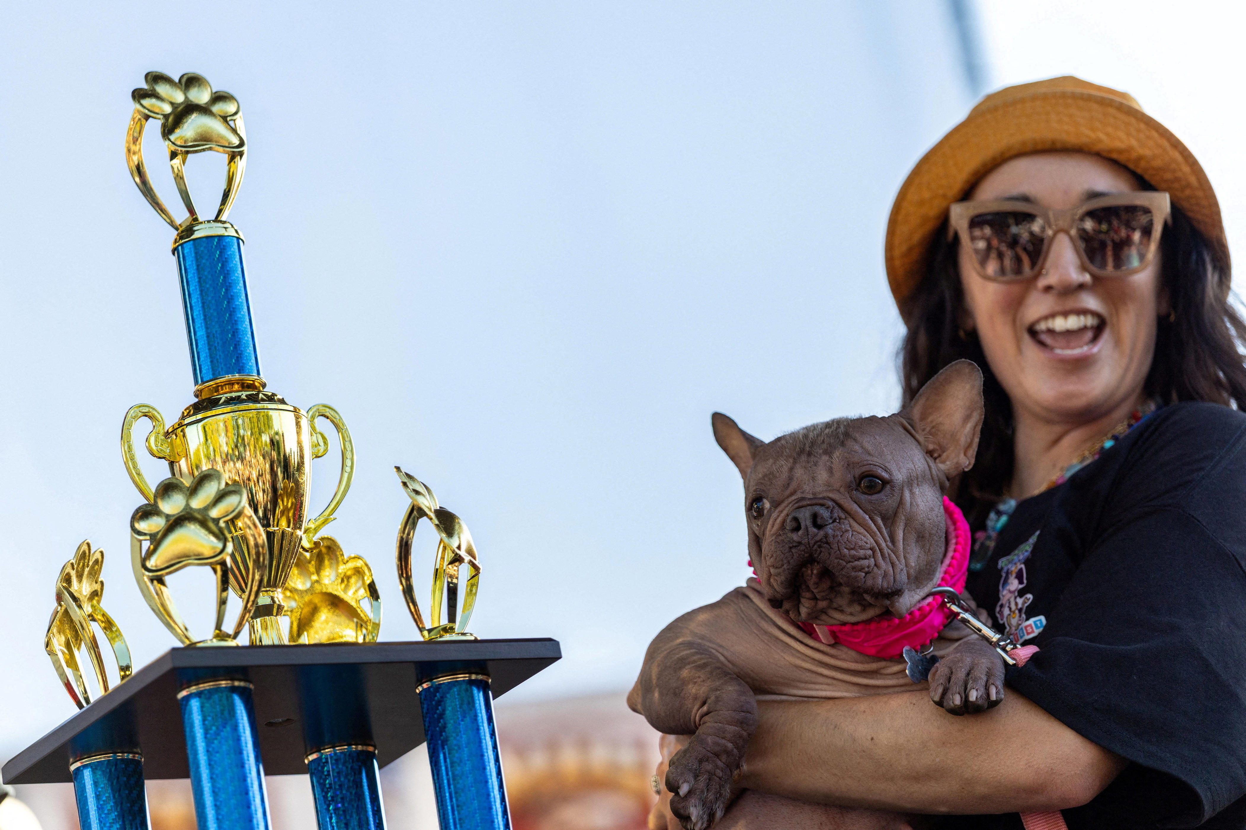 'World's Ugliest Dog' lives in Eugene: Petunia the hairless French bulldog