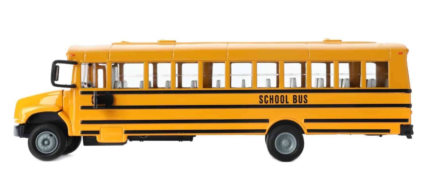 10 Ocean Creatures Bigger Than a School Bus
