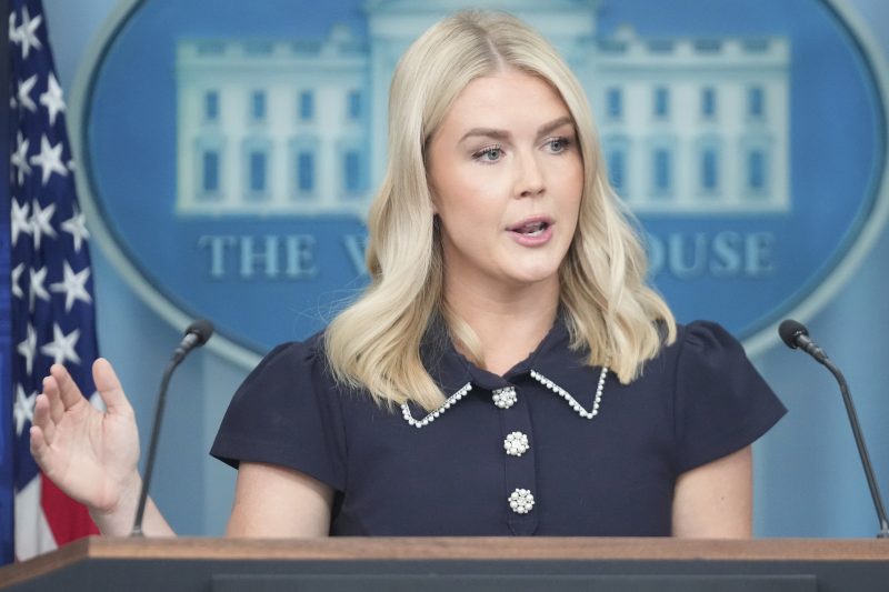 White House holds briefing after police takeover of D.C.