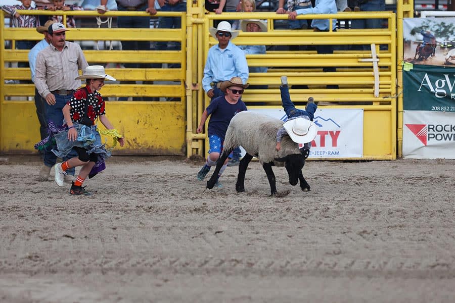 Cowboys and girls of all ages showcase talents at Bannock County Fair Rodeo