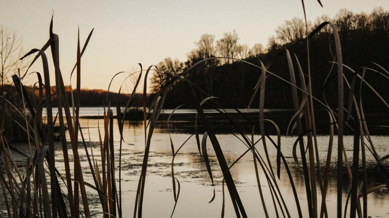 Indiana's Wildly Underrated Forest Right By Brown County State Park ...