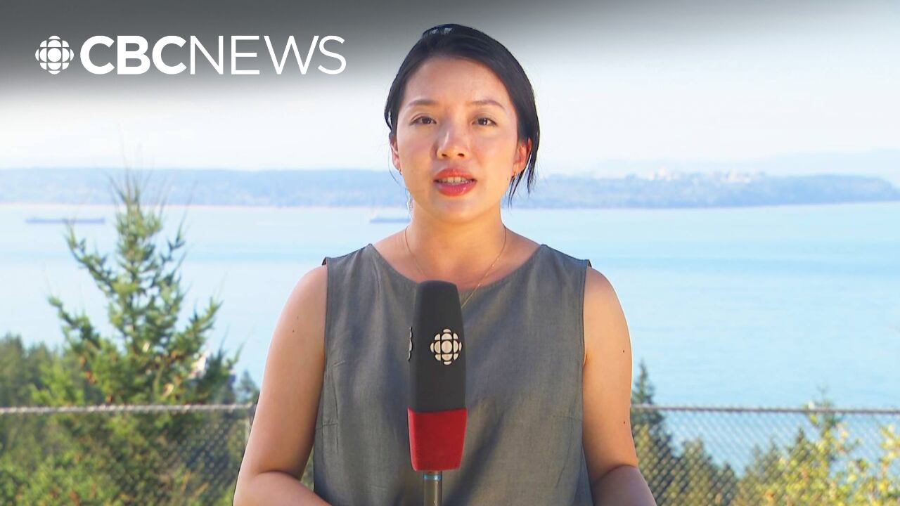 Metro Vancouver under heat warning, along with much of southern B.C.