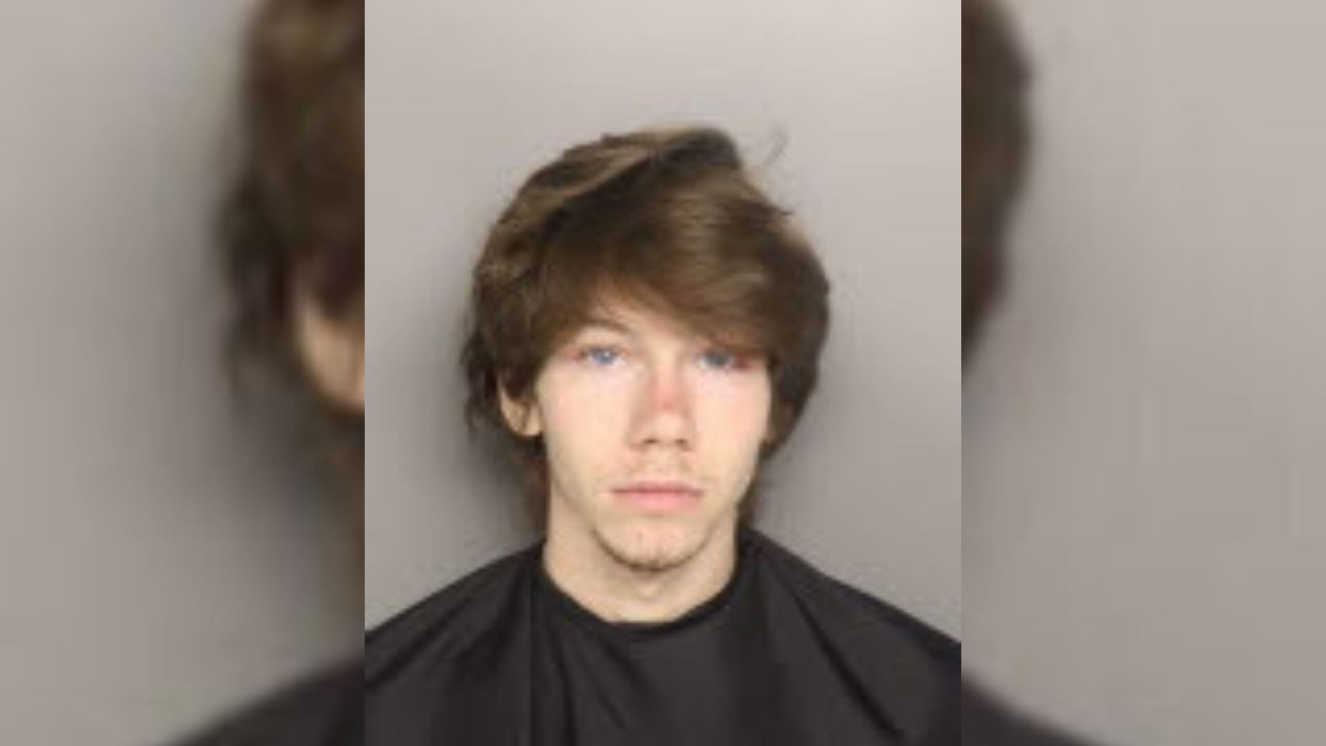 Greenville man pleads guilty to entering children’s bedroom windows ...