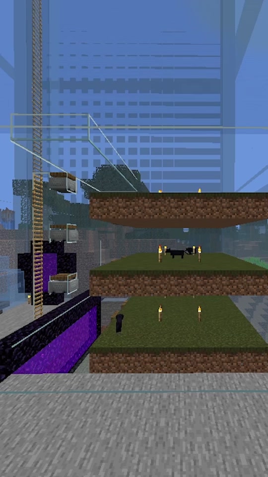 I need cat name suggestions please! #minecraft #mc #mcyt #hardcore