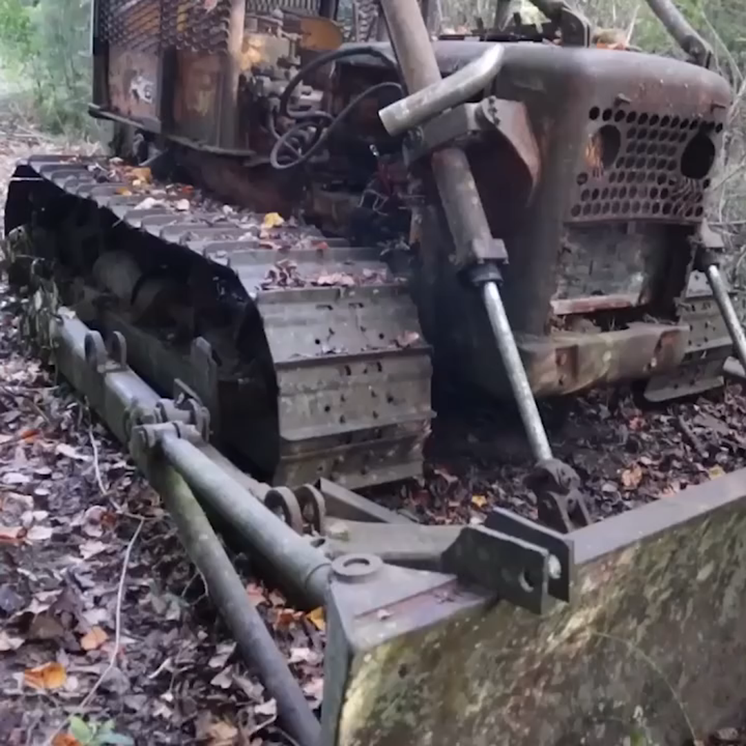 Dozer Stuck in the Woods for 30 Years