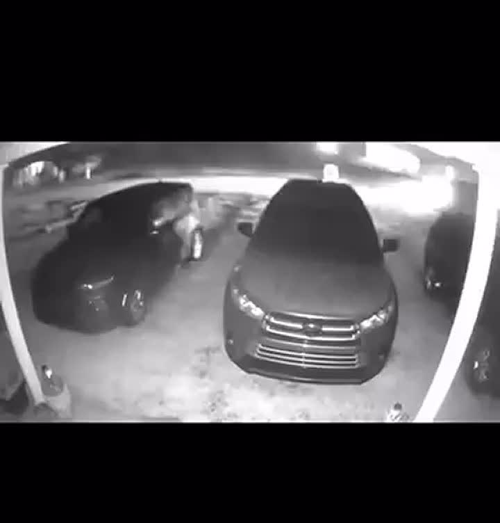 Ce que vous devez savoir sur Platon, grand penseur de l'Antiquité grecque