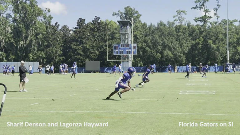 Former Gators DB Hired as Local High School Coach