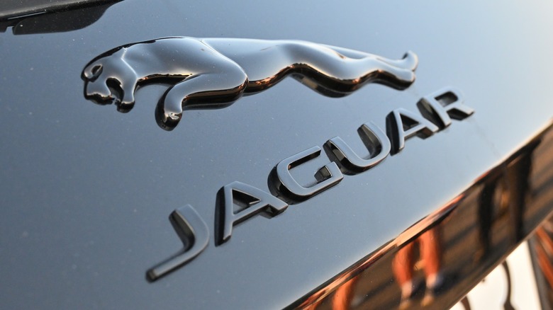 6 Of The Fastest Jaguar Sports Cars Of The '90s
