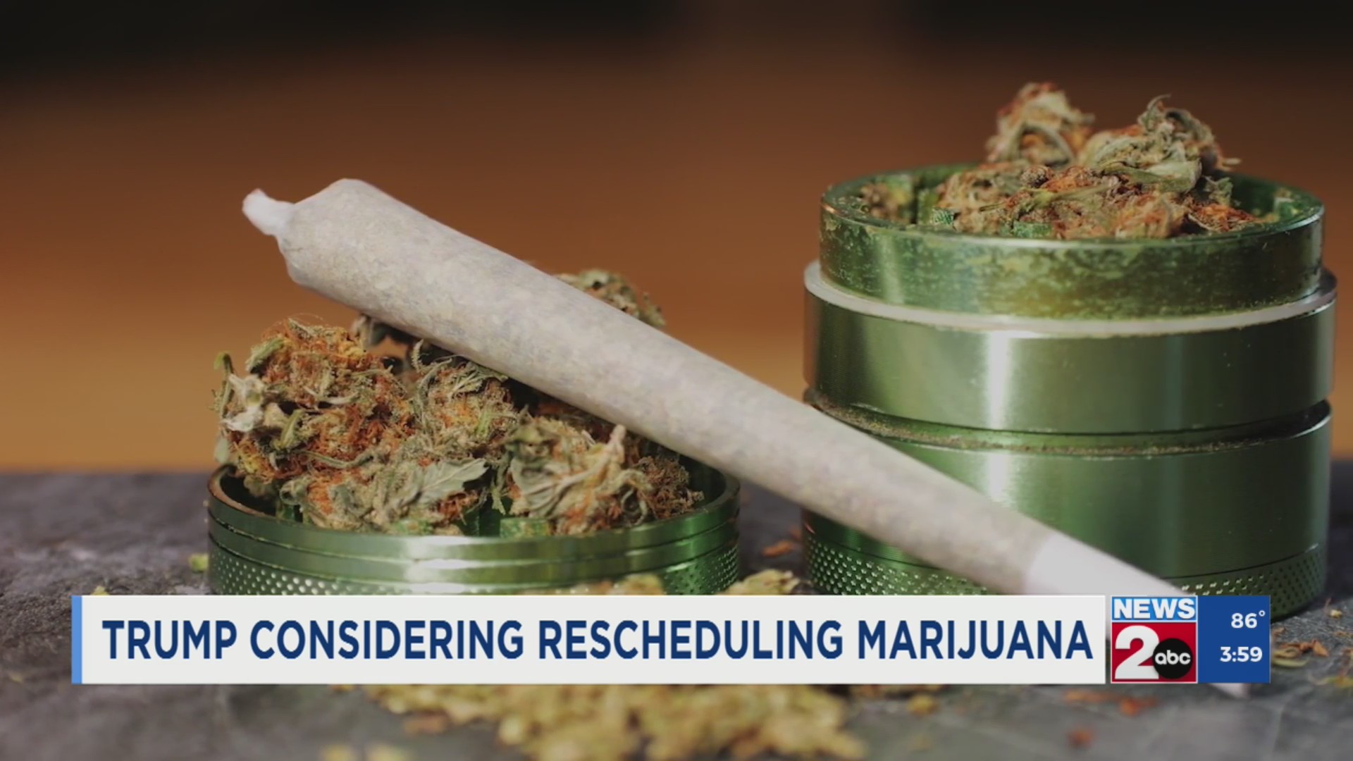 President Trump considering rescheduling marijuana
