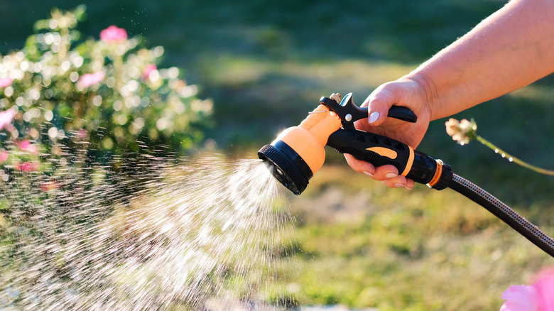 The Genius Hack To Store The Hose In Your Yard & Keep It Out Of Sight