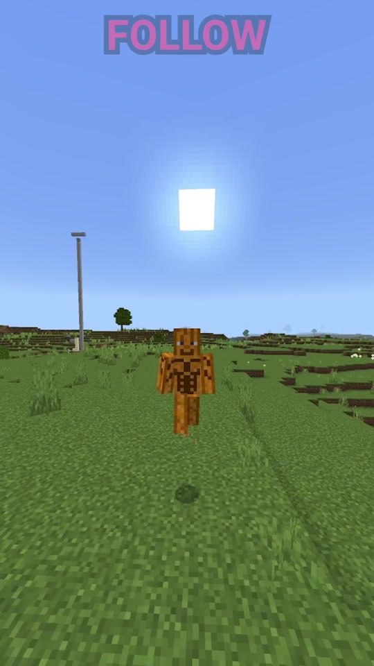 whats the WORST glitch in Minecraft Bedrock? There are a LOT of glit...