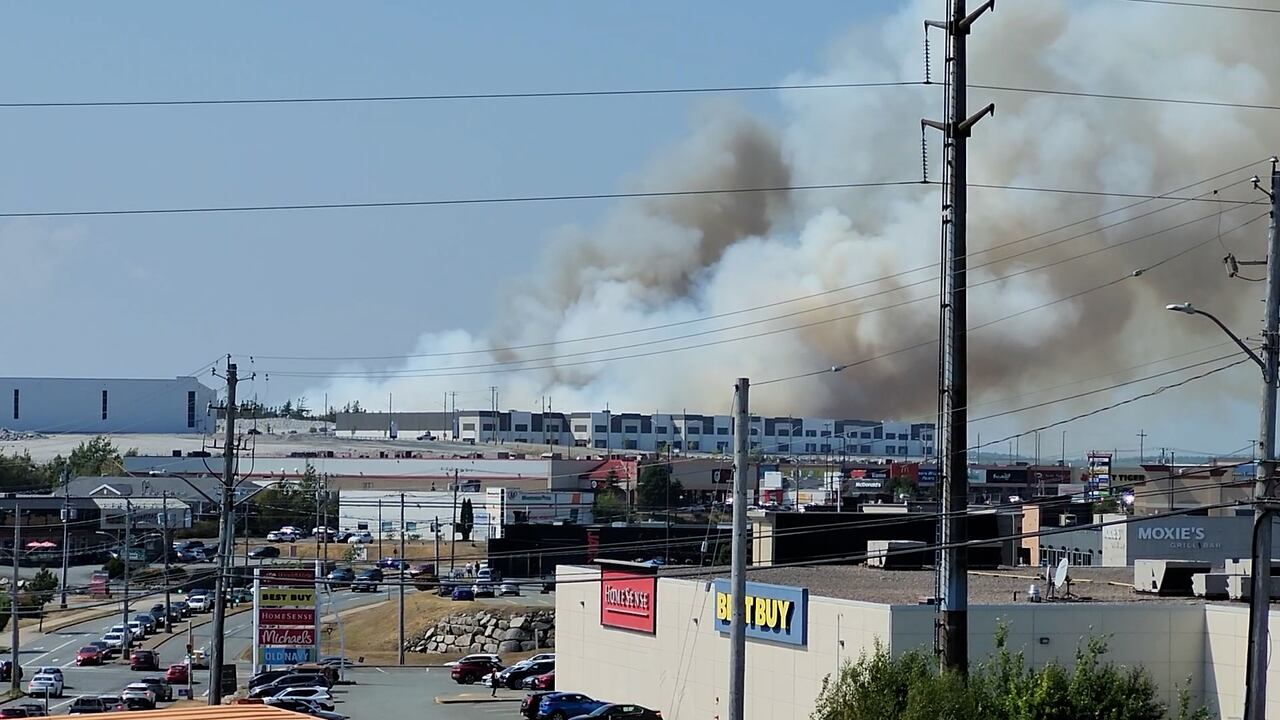 Smoke billows from wildfire near Halifax's Bayers Lake area