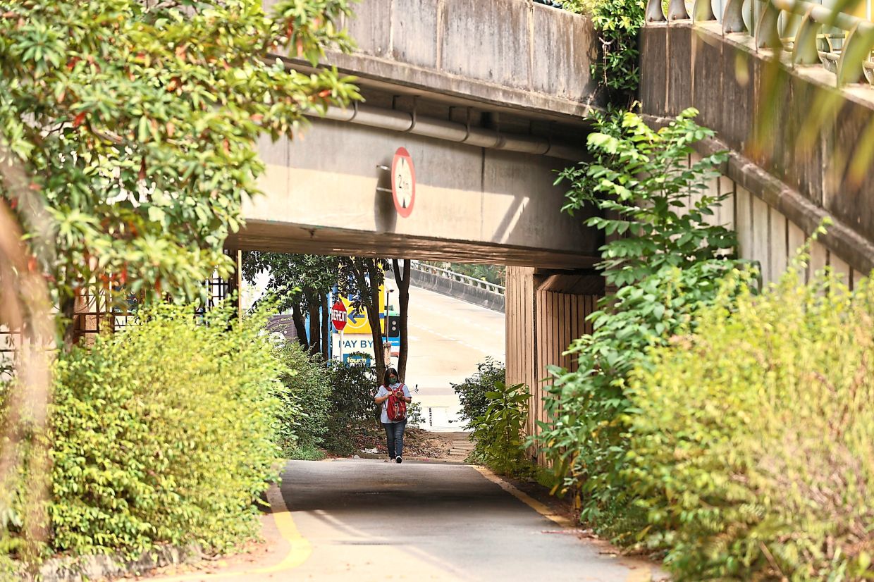 Folk fearful of dark PJ Section 16 stretch