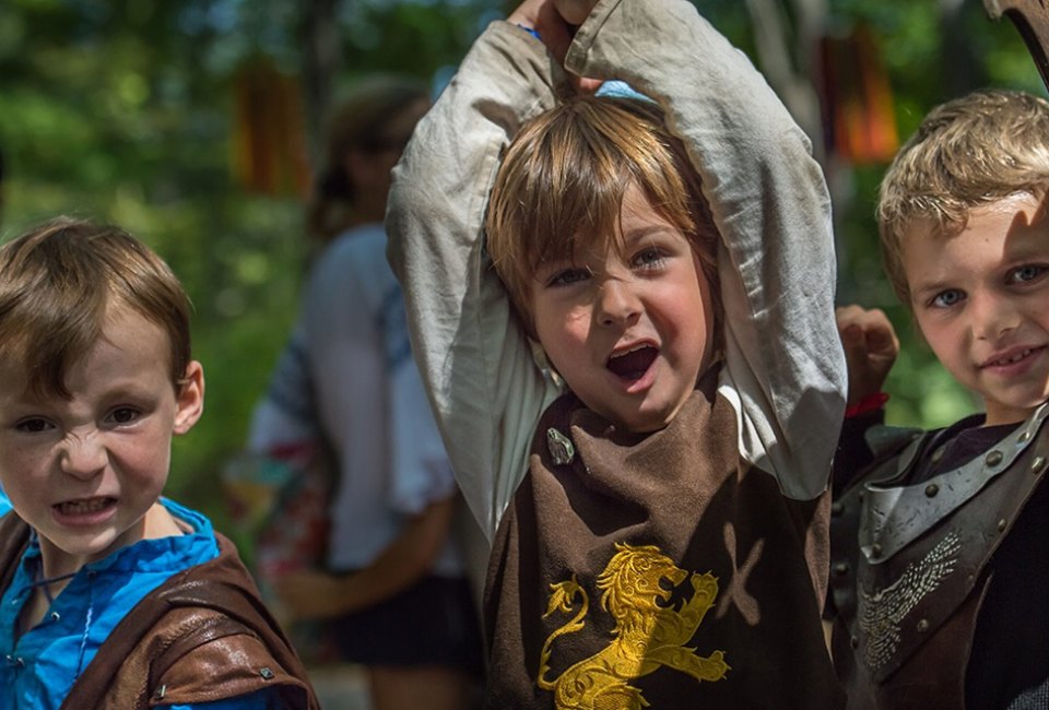 Renaissance Faire and More Top Things To Do This Weekend in Westchester ...