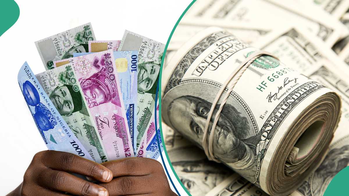 See latest exchange rates as dollar rises in official, black FX markets