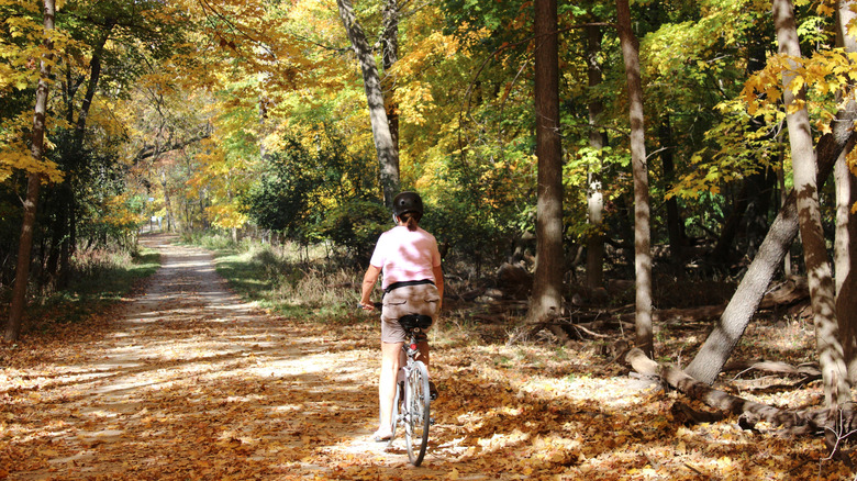 Just Beyond Chicago Is A Scenic Riverside Trail Offering An Idyllic ...