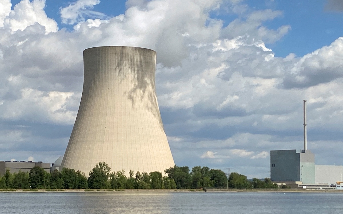 Enjambre de medusas paraliza central nuclear en Francia