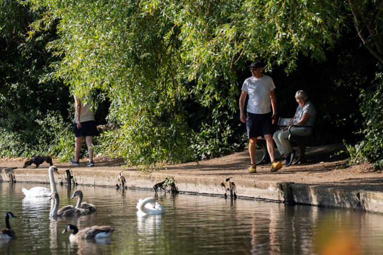 The Storied History of Arthur Ashe Stadium, the Host of the U.S. Open