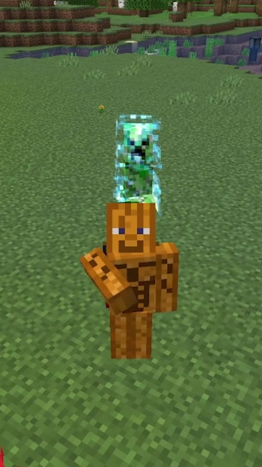 become UNKILLABLE in Minecraft! Recently I showed off a witch powere...