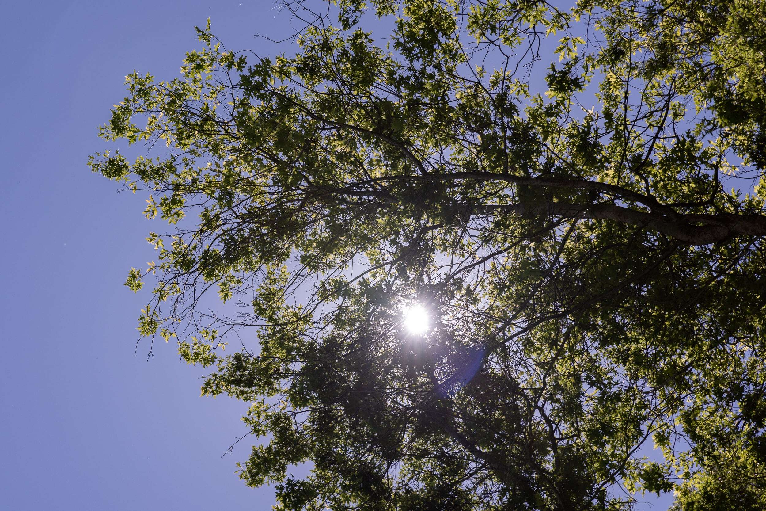 Cities across NW Oregon face extreme heat warnings. Are any slated to ...