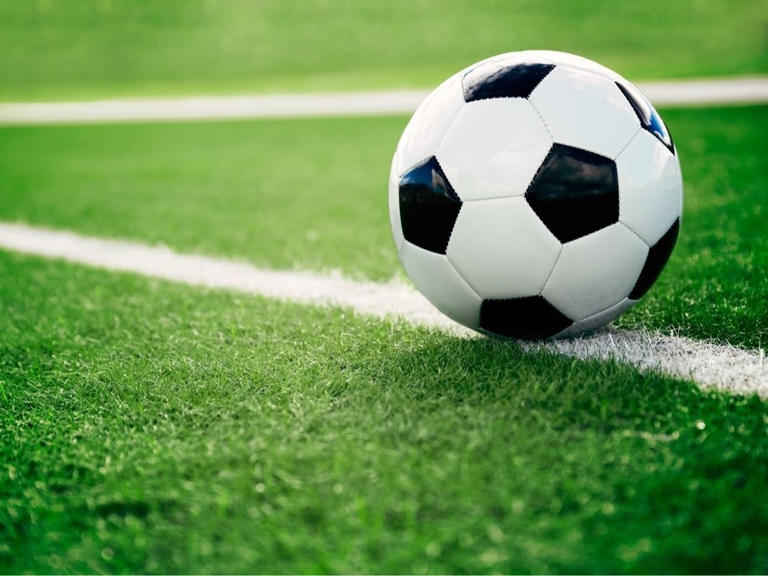 Detroit City FC Releases New Corktown Stadium Details