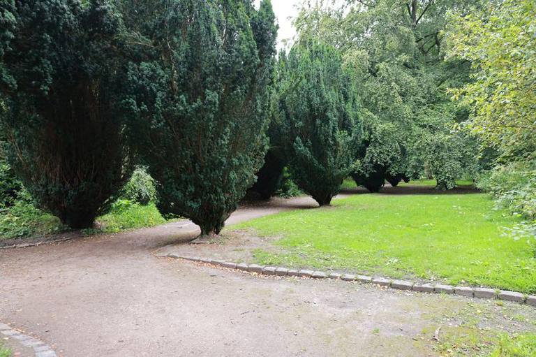 Woman killed by falling tree branch 'in front of child' at Blackburn ...