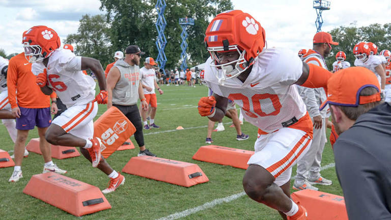 The Ultimate ACC Guide