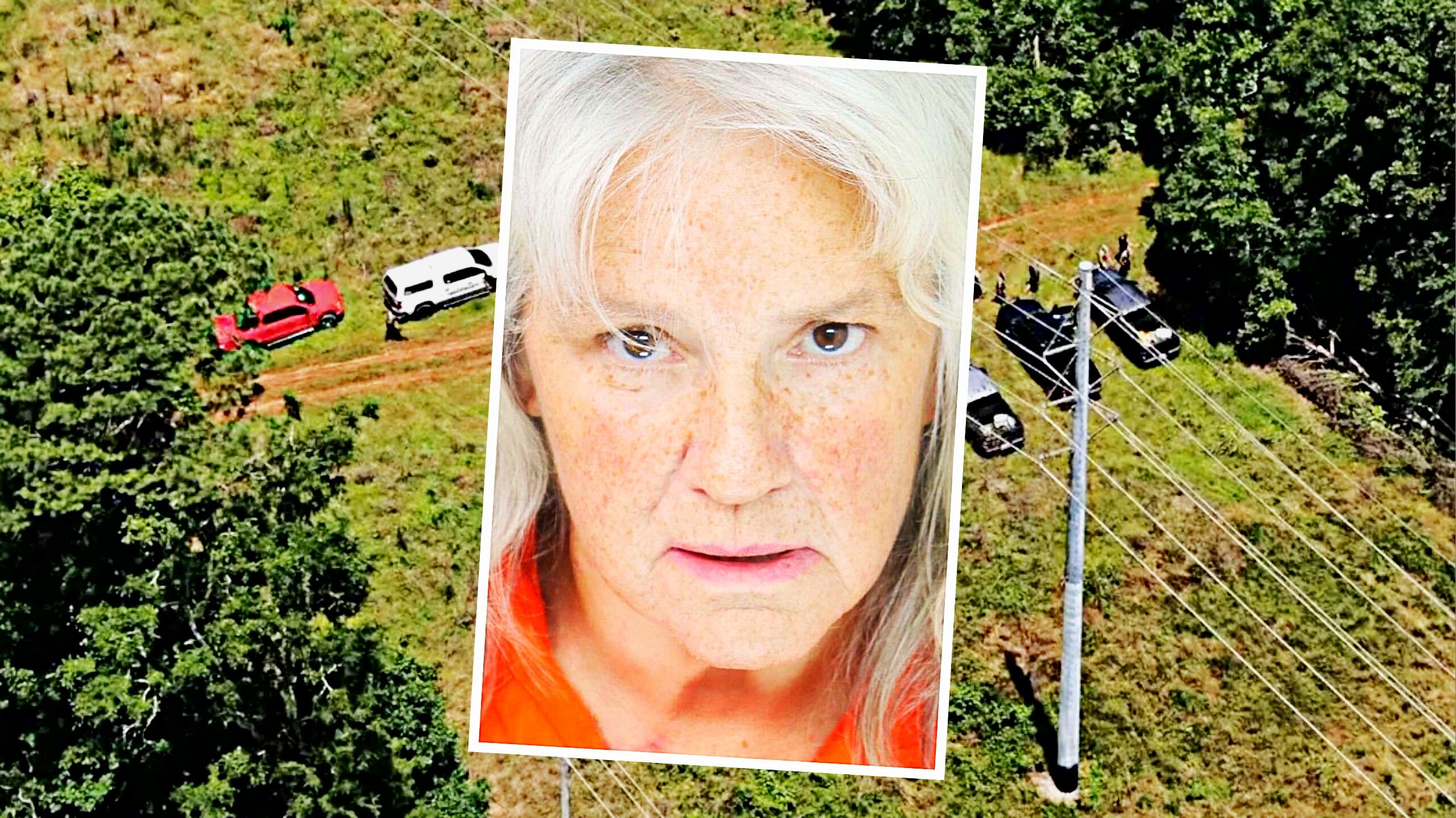 Susan Rhodes indicted on hit-and-run charge out of Edgefield County