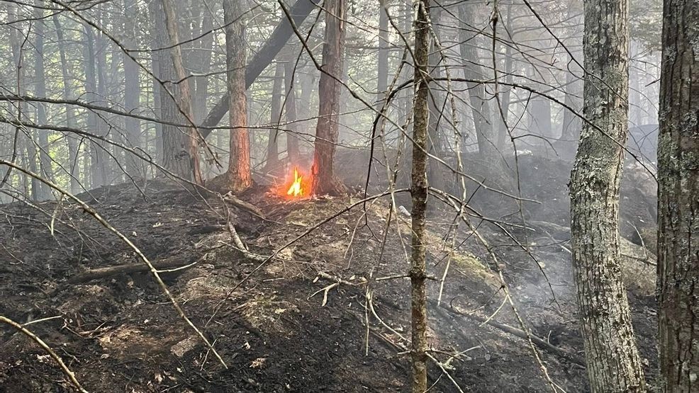 Wildfire danger rises across Maine, Biddeford brush fire 'contained'