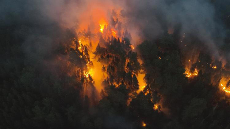 Maine faces high wildfire risk as hot, dry days persist