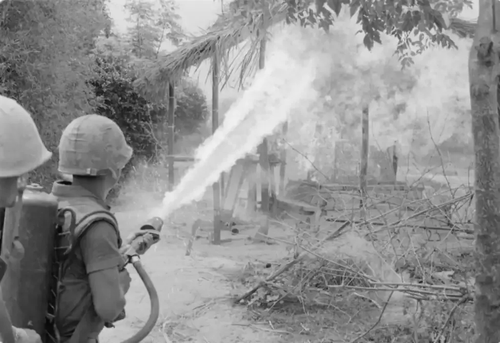 Agent Orange And Napalm Ravaged Vietnam’s Forests And Mangroves And The ...