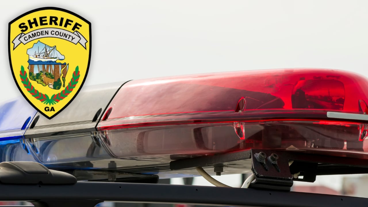 SB I-95 at exit 14 in Camden County shut down after person shoots dog ...