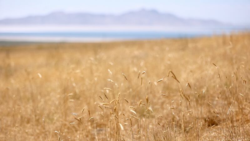 Utah narrowly missed its driest July on record. Can this week break its ...