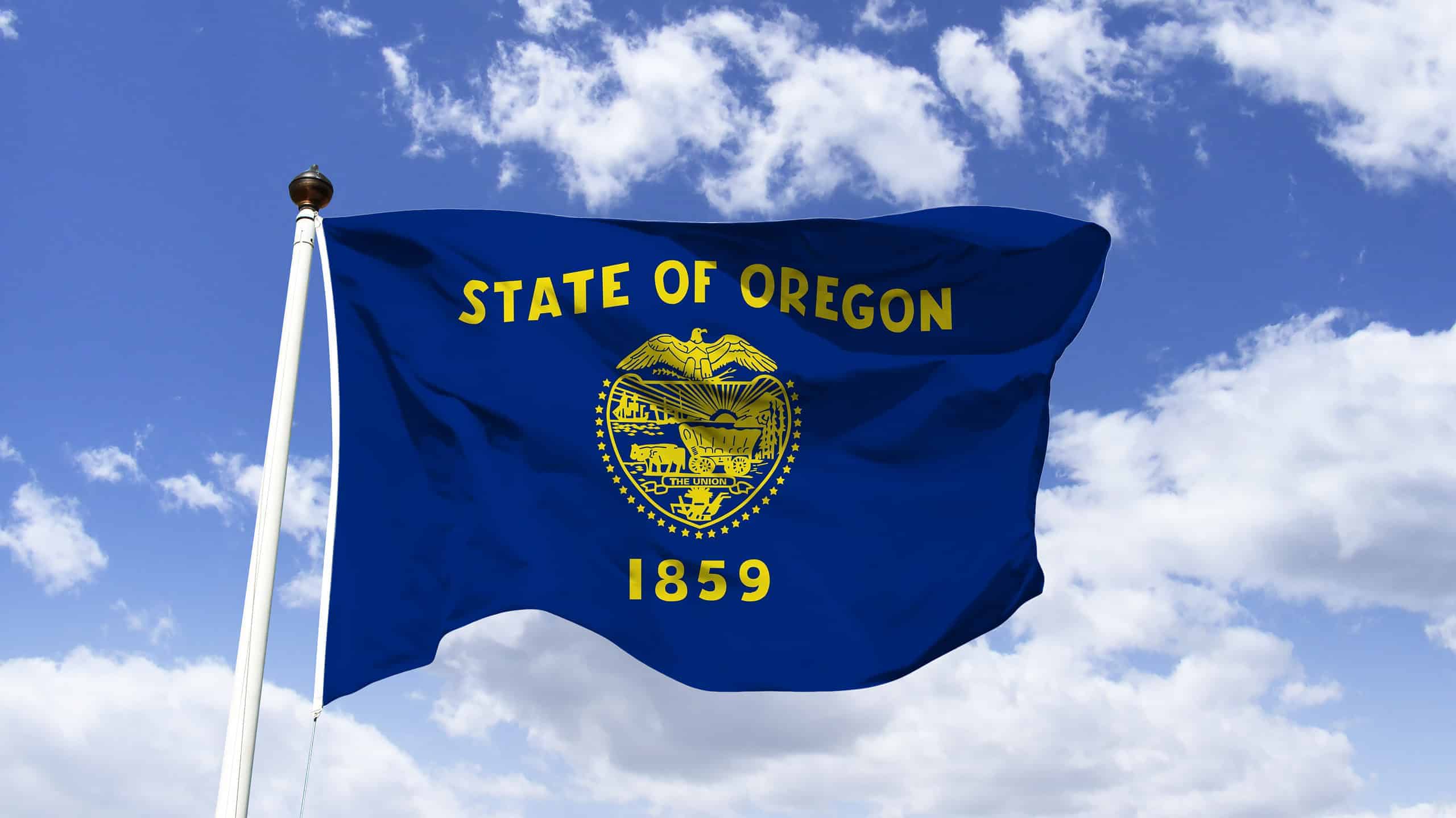 The World Adores This Oregon-Born Ugliest Dog Contest Winner (Plus ...