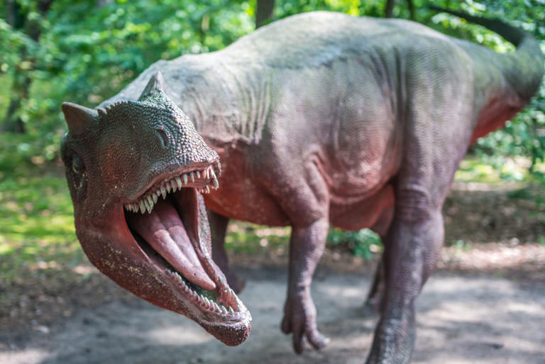 How did the T. rex’s bite force compare to the largest carnivorous ...